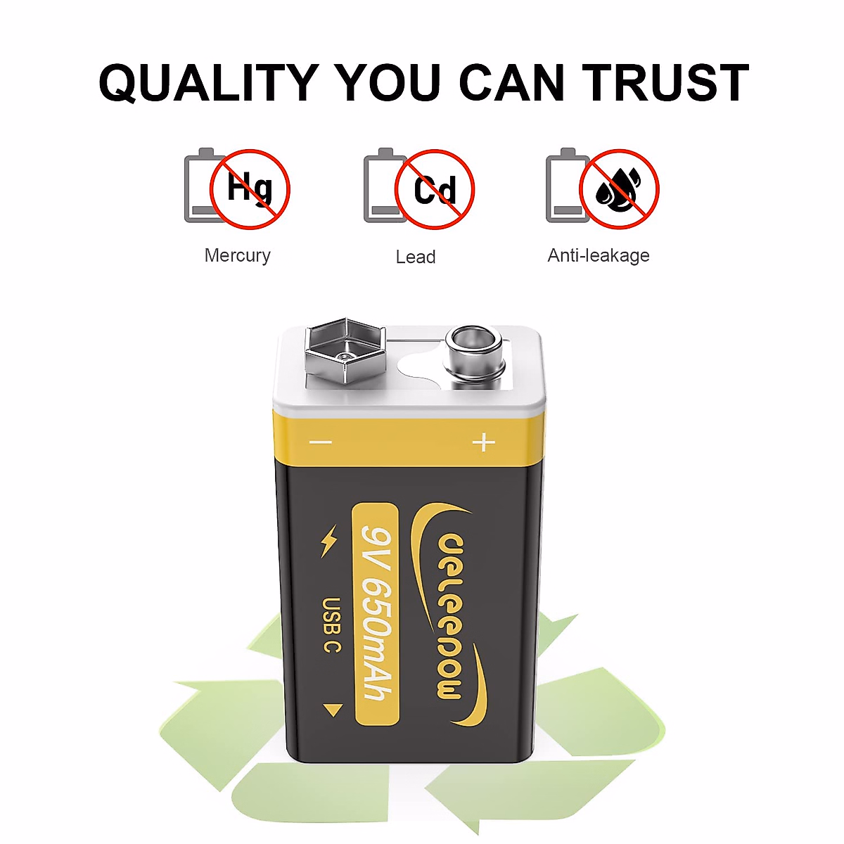 Deleepow Rechargeable 9V Batteries USB C 650mAh, 9V Lithium Batteries Rechargeable 800 Cycle with USB Cable