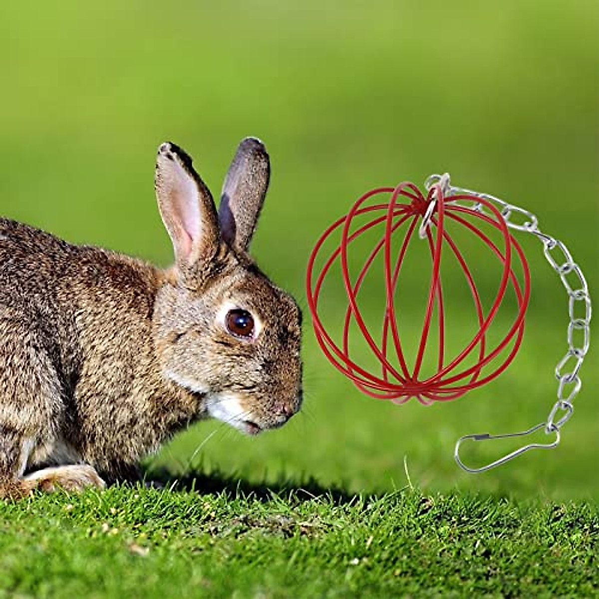 GIFZES Rabbit Hay Feeder, Feed Dispenser Hanging Ball Hay Feeder Pet Hay Ball Hanging Feed Dispenser Animal Supplies for Guinea Pig Hamster Rat Rabbit Chinchilla Red