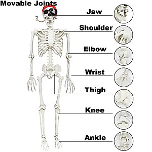 5.4Ft/165cm Life Size Skeleton Halloween Decor, Posable Poseable Human Pirate Skeleton, Full Size Skeleton with Posable Joints Bandana Eye Patch for Halloween Party Outdoor Haunted House Decor