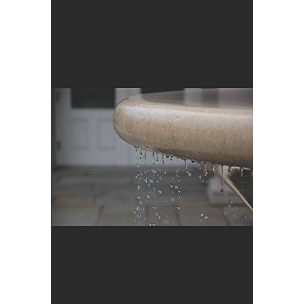 The typewriter: and other essays