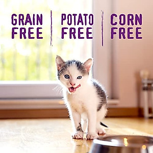 Stella & Chewy’s Raw Coated Premium Kibble Cat & Kitten Food – Grain Free, Protein Rich Meals – Cage-Free Chicken for Kittens Recipe – 5 lb. Bag