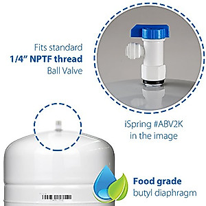 iSpring T55M 5.5 Gallon Residential Pre-Pressurized Water Storage Tank for Reverse Osmosis (RO) Systems, White