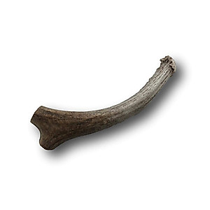 Top Dog Chews Large 6"-9" Long -Antler Dog Chew From Single Antler