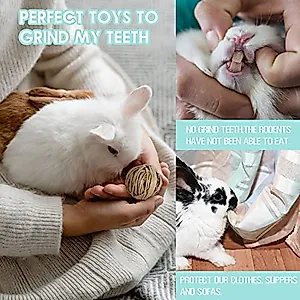 Cathpetic Perfect Rabbit Chew Toys - Guinea Pig Toys Natural Timothy Hay Chinchilla Toys, 100% Hand Made Rabbit Treats Apple and Wood Sweet Bamboo, Small Animal Chew Treat for Rodents Teeth Care