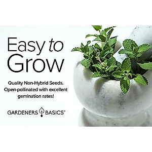 35 Herb Seeds for Planting Varieties Heirloom Non-GMO Seeds Indoors, Hydroponics, Outdoors - Basil, Lavender, Catnip, Cilantro, Oregano, Parsley, Peppermint, Rosemary and More by Gardeners Basics