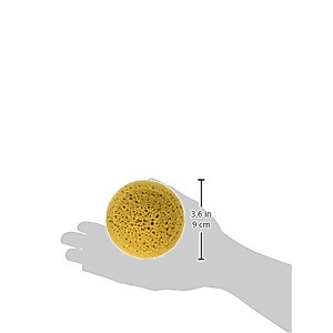 Hydra Sponge 074152 Honeycomb Tack Sponge Small