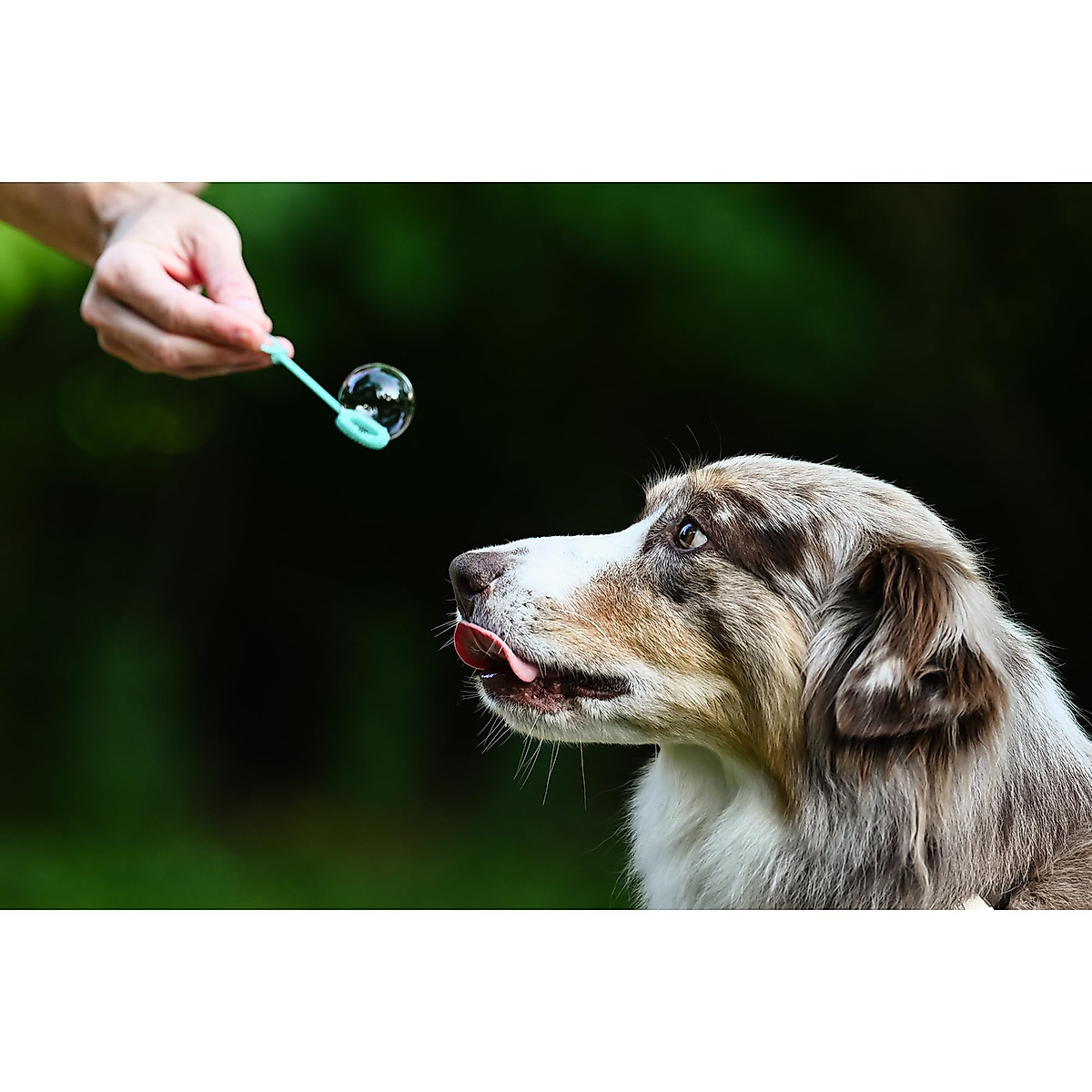 Puppy Love Bubbles, Bacon Scented Bubbles 4oz. Bottle-2 Pack in Bacon Flavor for Dogs