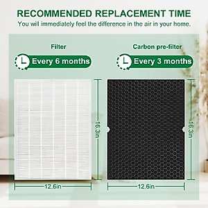 Laukowind 116130 Filter H Replacement for Winix 5500-2 Air Purifier and Models AM80-2, Includes 1 Pack Ture Filters and 1 Pack Activated Carbon Pre-filters (1 Sets)
