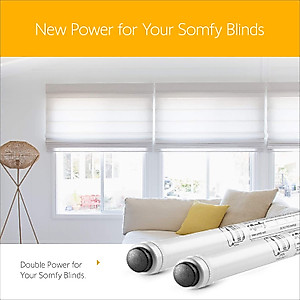 somfy 12V DC Reloadable Battery Tube 2 Pack and Y Harness - 2 Replacement Battery Tubes - 12V Dual Battery Wands for RTS Motors - Power Blinds & Shades – Easy to Install – #9018685, 9018625