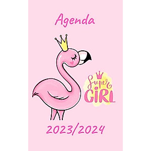 AGENDA 2023/2024: Planificateur scolaire journalier | Emploi du temps | Calendrier | Une page par jour (French Edition)