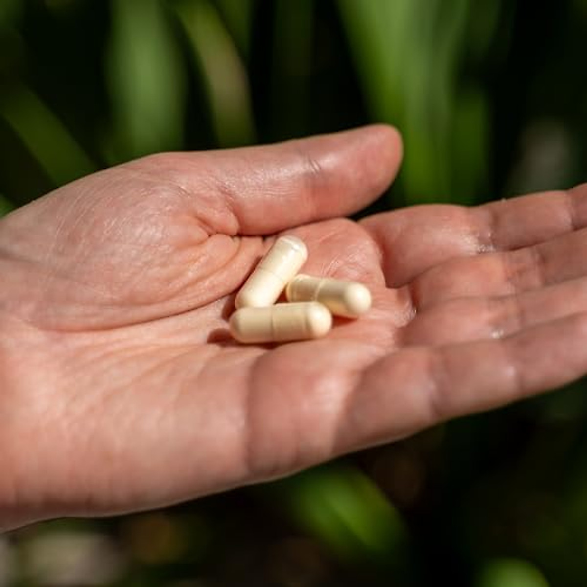 Omega-3 Fish Oil for Dogs by Pawsomely Healthy - High in EPA, DHA - Allergies, Itching, Shedding - Supports Immune System, Skin, Coat, Heart, Joints - 90 Powder Capsules