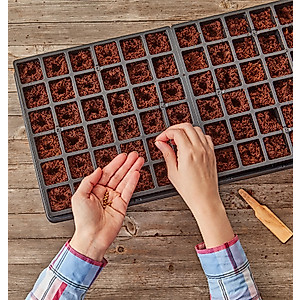 Burpee Self-Watering Seed Starter Tray, 72 Cells