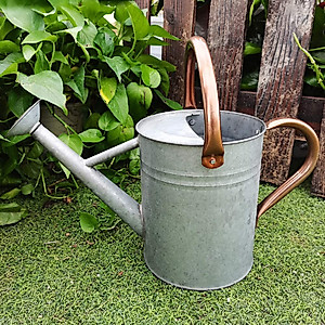 yourjoy Metal Watering Can, One Gallon Watering Cans Stainless Steel for Outdoor Indoor Garden Plants Watering (Zinc 1 Gallon)