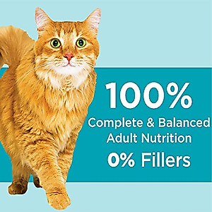 IAMS PROACTIVE HEALTH Adult Indoor Weight Control & Hairball Care Dry Cat Food with Chicken & Turkey Cat Kibble, 7 lb. Bag