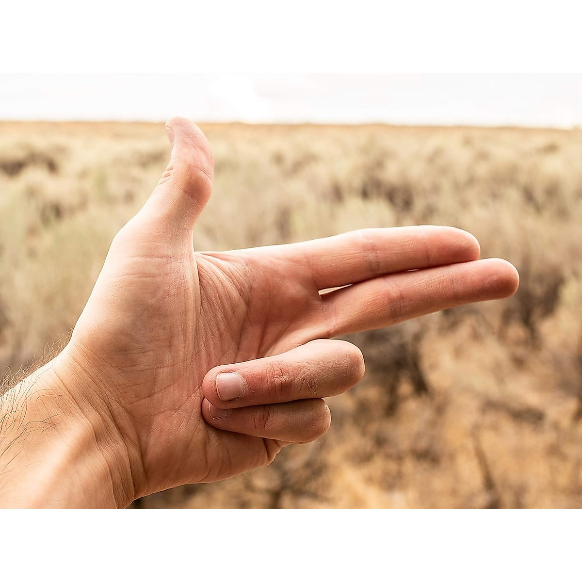 Finger Guns at High Noon