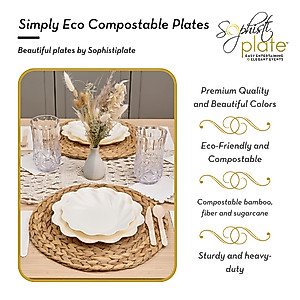 Sophistiplate Eco Friendly Bamboo Fiber Plates (Cream, 16/pkg Dinner)
