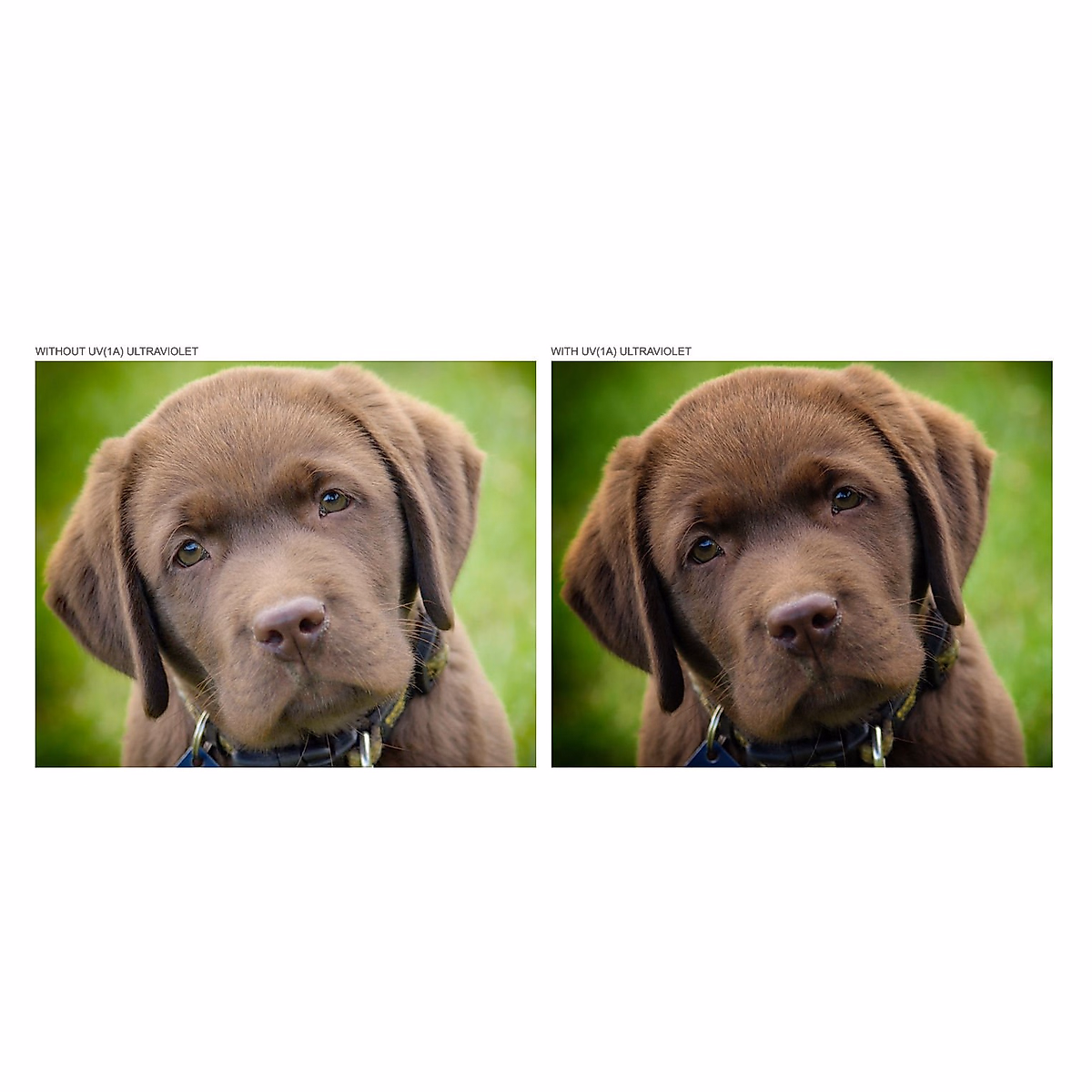 Canon Rebel T5 High Grade Multi-Coated, Multi-Threaded, 3 Piece Lens Filter Kit (67mm) Made by Optics + Nw Direct Microfiber Cleaning Cloth.