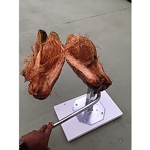 Gitachi EASY Coconut Husk opener 17 inch Tall- Stainless