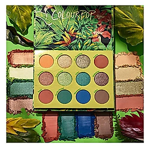 Lush Life Eyeshadow Palette