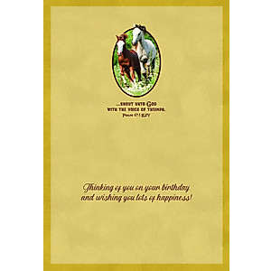 CPG Card-Boxed-Shared Blessings-Birthday Wild Horses (Box of 12)