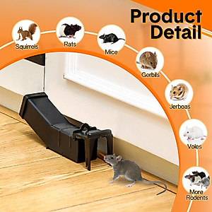 Qualirey 8 Pcs Humane Mouse Traps No Kill Rat Traps Catch and Release Reusable Mouse Traps Indoor for Home Waterproof Outdoor Mice Bait Tunnel Stations, Bait Not Included, Suitable for Small Mice