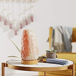 Amazon Basics Natural Himalayan Salt Lamp, Wood Base with Dimmer Switch - Crystal Pink, 5-7 Pounds