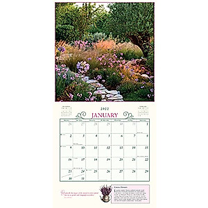 Secret Garden Wall Calendar 2022: A year of photographs that transport you to a garden sanctuary.