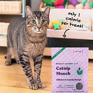 Bocce's Bakery, One Fish, Two Fish Crunchy Treats for Cats, Wheat-Free Everyday Cat Treats, Made with Limited-Ingredients, Baked in The USA, All-Natural Crunchy Treats, Salmon & Seaweed Recipe, 2 oz