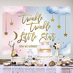 Lofaris Twinkle Twinkle Little Star Gender Reveal Backdrop Boy or Girl Pink or Blue How We Wonder What You are Golden Star Party Decoration Photography Background Cake Table Banner Wallpaper 7x5ft