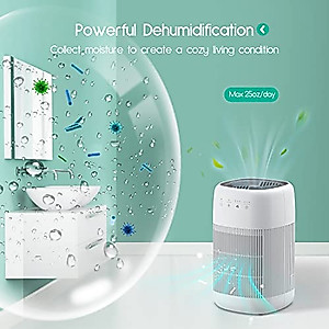 Air Purifier and Dehumidifier in 1, Afloia Q10 True HEPA Air Purifier with H13 HEPA Filter, Small Dehumidifier Combined with Air Cleaner, Remove Pet Odors Dust Smoke for Home, Bedroom, Bathroom