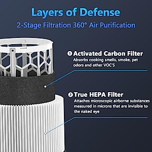 2 Pack Blue Pure 411 Filter Replacement Compatible with Blueair Blue Pure 411 Genuine, 411+, 411 Auto and MINI Air Purifiers, H13 True HEPA Filter, Particle and Activated Carbon by Funmit