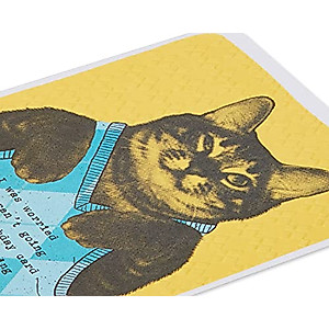 American Greetings Funny Birthday Card (Cat Wearing Argyle Sweater)