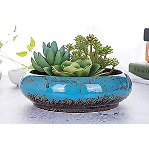 VanEnjoy 7.3 inch Round Large Shallow Succulent Ceramic Glazed Planter Pots with Drainage Hole, Bonsai Pots Garden Decorative Cactus Stand Flower Container (Blue)