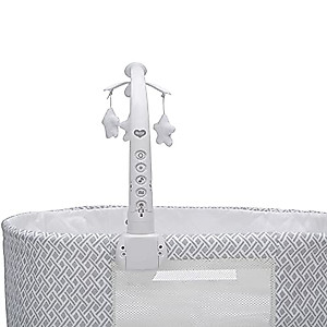 Delta Children Sweet Slumber Bassinet, Garden Path