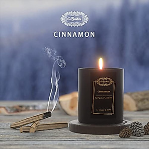 C.Fysikós Scented Candles | Soy Candles | Candles for Home Scented | Aromatherapy Candle | Long Lasting Scented Candles | Cinnamon Candle | Candles Gifts for Women | 8 oz