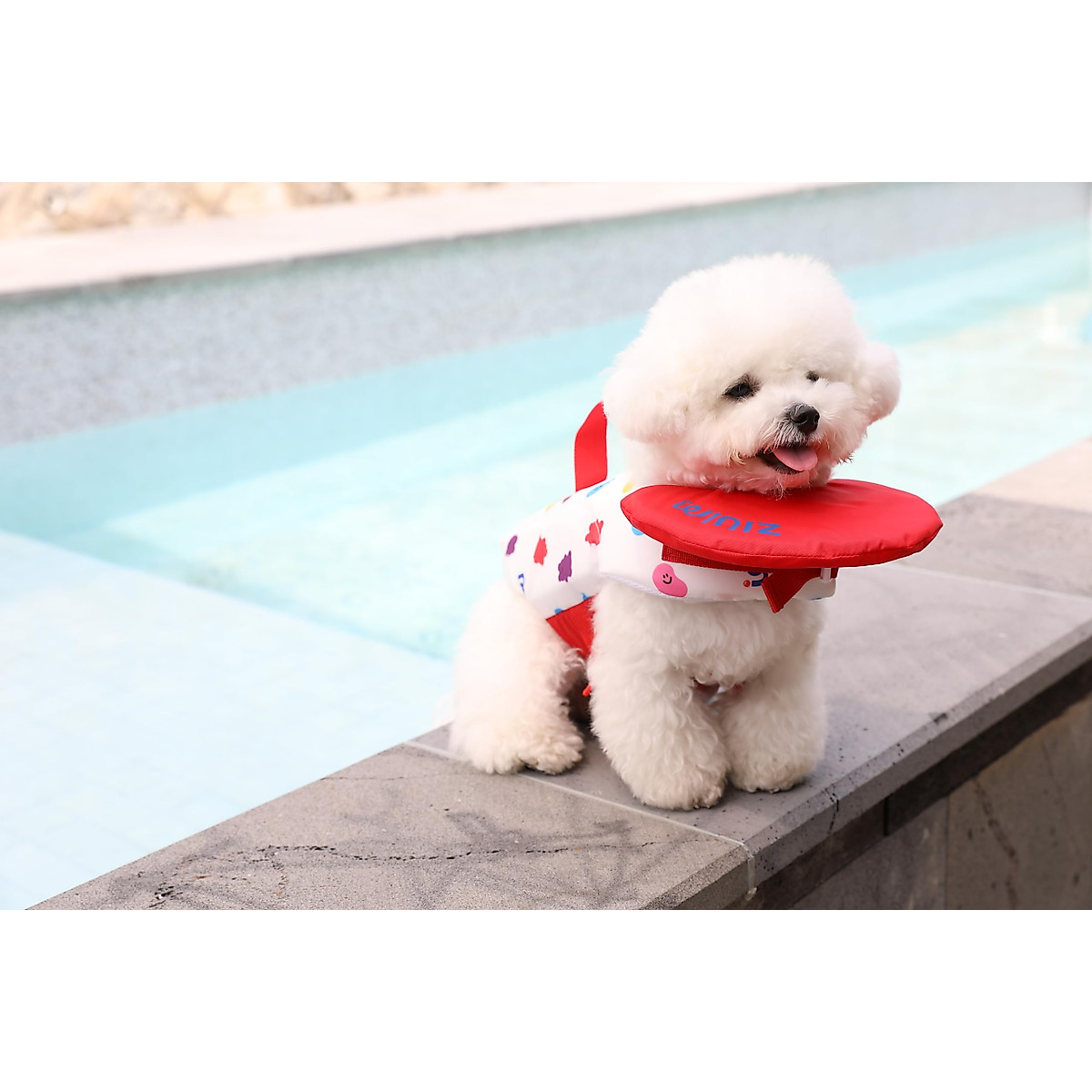 WINIZ Dog Life Jacket - Pet Safety Vest with Removable Front Float & Rescue Handle - Adjustable High Buoyancy Aid Pet Supplies for Boating, Surfing, Swimming (RED, Medium)