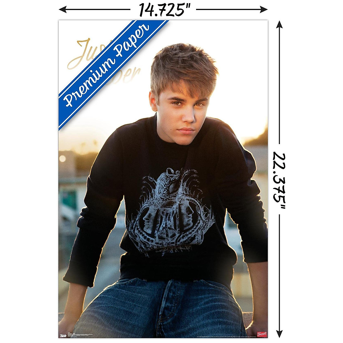 Trends International Justin Bieber - Twilight Wall Poster, 14.725" x 22.375", Premium Unframed Version