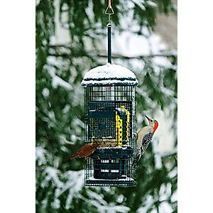 Squirrel Buster Suet Squirrel-proof Suet Bird Feeder w/2 Suet Cake Trays, 2 Crumb Ports, Mess-free Suet Loading,Green