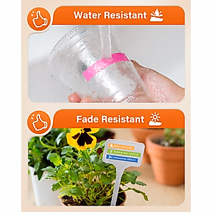 Replacement for Brother P-Touch Label Maker Tape TZe 12mm 0.47 Ribbon Laminated TZ Colored Refills Compatible with Brother P Touch PT-D210 D220 H110 1000 1280 D400 Cube, 1/2" x 26.2', 6 Pack