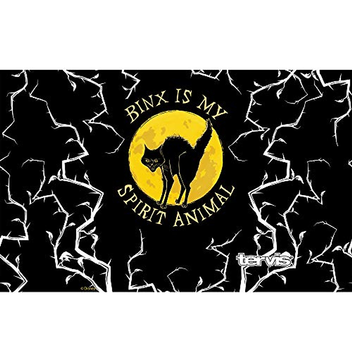 Tervis Triple Walled Disney® - Hocus Pocus Insulated Tumbler Cup Keeps Drinks Cold & Hot, 20oz - Stainless Steel, Binx