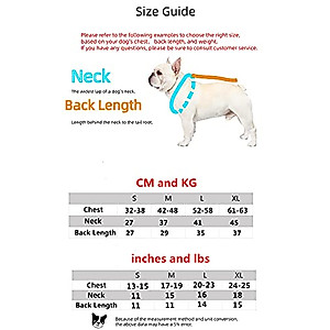 Cooling Dog Harness for Small Medium Dog Pet Ice-Cooling Clothes Comfort Fits Puppy Cooler Vest Shirt for Summer (Yellow, XL)