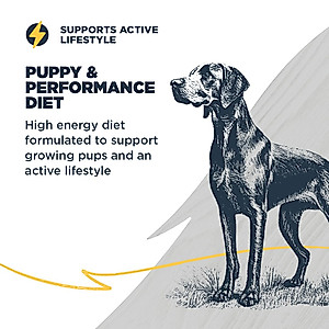 Blackwood Puppy & Performance Dry Dog Food, Chicken Meal with Ancient Grains, 10 Pound Bag for Growing & Working Dogs, Supports Active Lifestyle