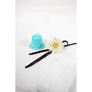 Moen INC20802 INLY Aromatherapy Shower Capsule 5-Pack, Tropical Day