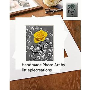 Yellow Rose Flower Bubbles Decorative Bathroom Wall Decor Photography Handmade Matted Wall Art Picture (Blue)