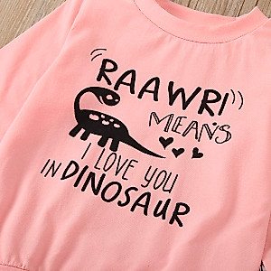 BOUTIKOME Toddler Baby Girls Clothes Sets Little Girl Dinosaur Long Sleeve Shirts Tops + Pants 2pcs Fall Winter Outfits(Pink,3T)