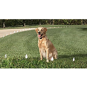 Small Black Bones Replacement Containment and Training Dog Collar Strap with RFA-67 Batteries - Compatible with Most PetSafe In-Ground Fence, Wireless Fence Receiver, and Training Collars (Bundle 2)