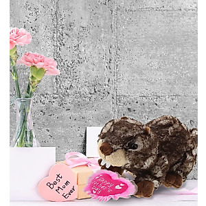 DolliBu Happy Mother's Day Super Soft Lying Marmot Plush Figure - Cute Stuffed Animal with Pink Heart Message for Best Mommy, Grandma, Wife, Daughter - 11" Inches