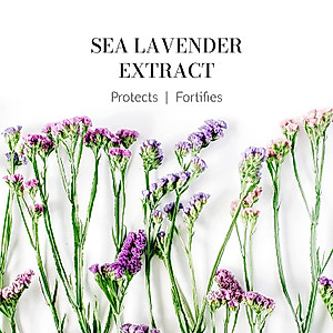 Leonor Greyl Paris - Shampooing Reviviscence - Specific Shampoo for Dehydrated, Damaged and Brittle Hair - Moisturizing and Hydrating Shampoo (6.7 Oz)