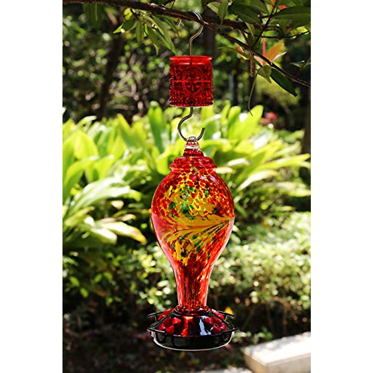 AMAURAS Red Glass Ant Moat for Hummingbird Feeder