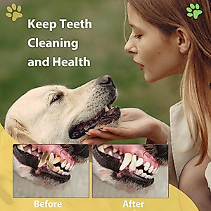 Letsmeet Dog Squeak Toys Durable Plush Dog Toy with Crinkle Paper, Tug of War Pull Toys for Puppies, Interactive Dog Chew Toys for Small, Medium and Large Dogs